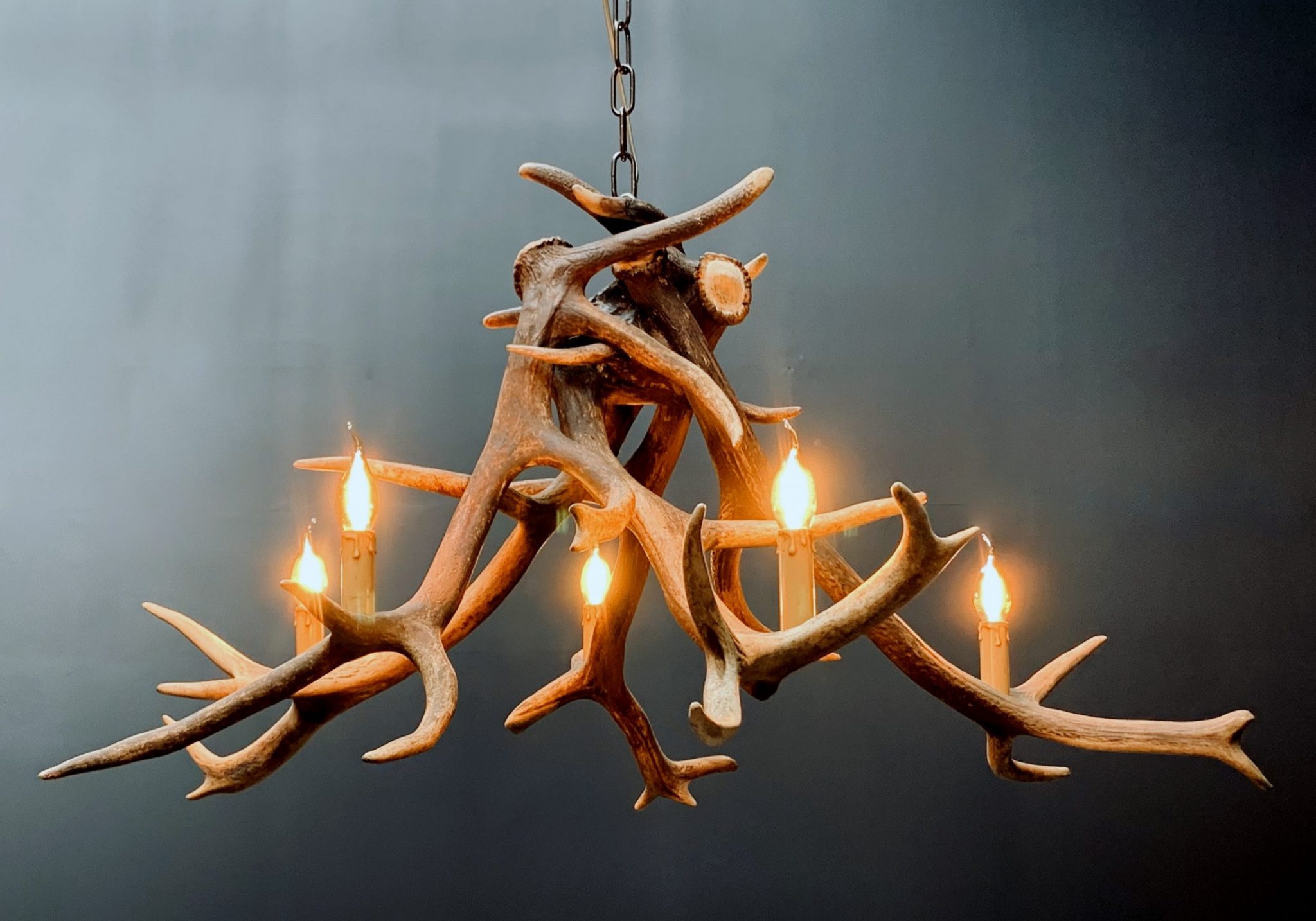 Kroonluchter van gewei - BEAST Interiors