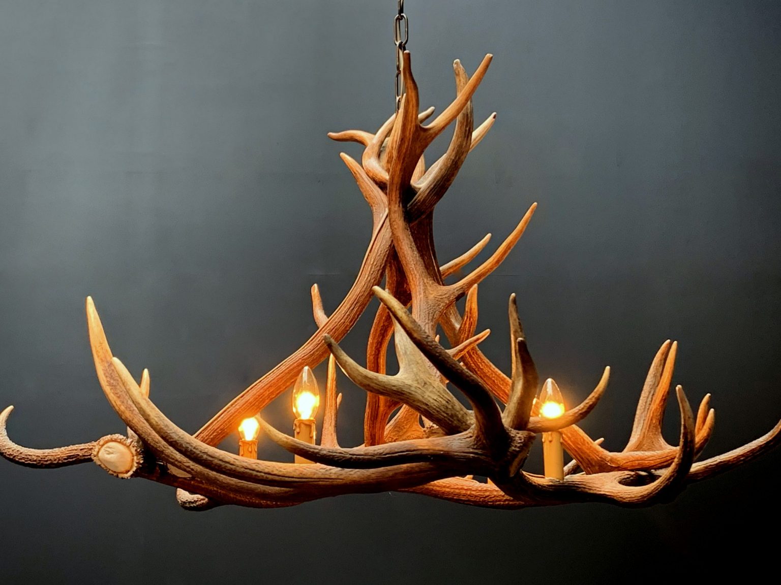 Geweilamp edelhert - BEAST Interiors