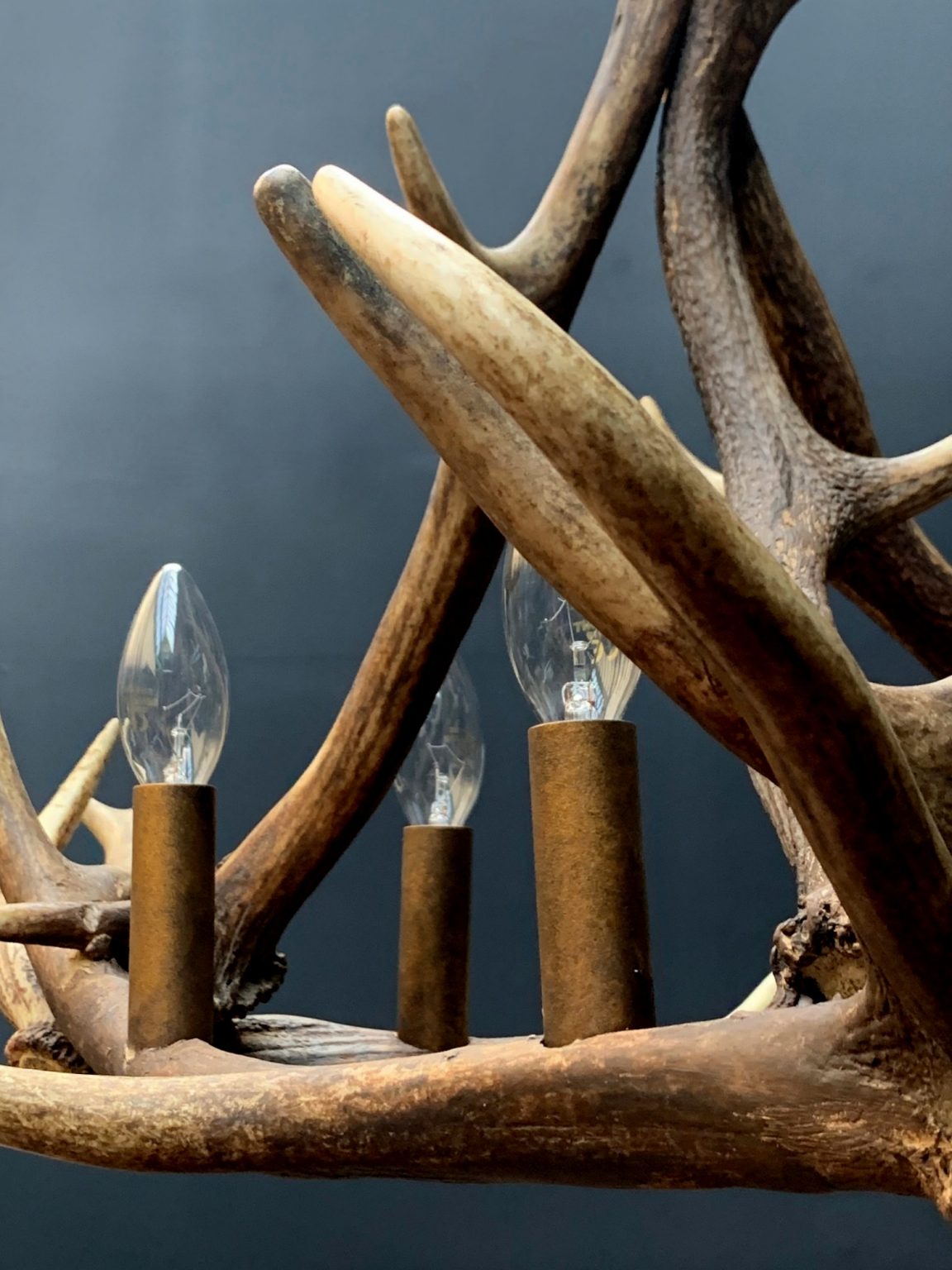 Geweilamp, Ronde hanglamp van edelhertengewei - BEAST Interiors