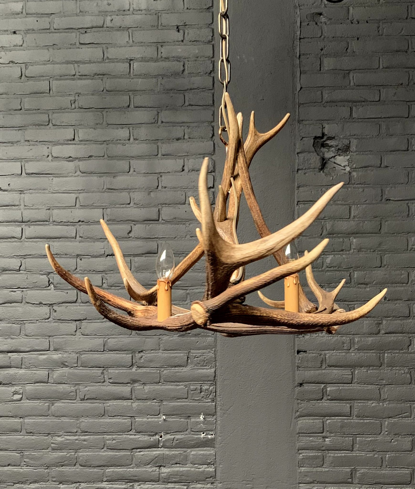 Hanglamp van gewei - BEAST Interiors