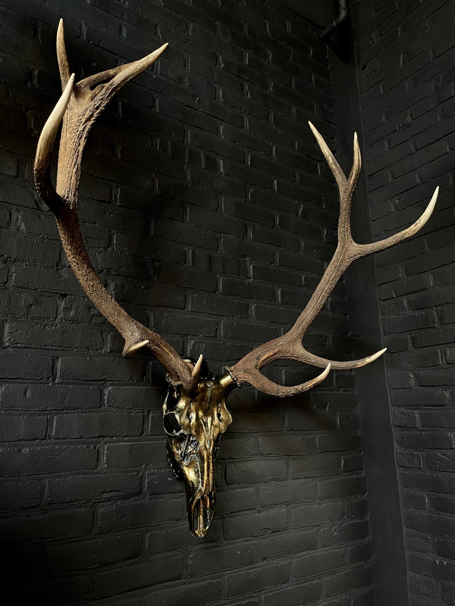 Gemetalliseerd gewei van een edelhert (voorbeeld) - BEAST Interiors