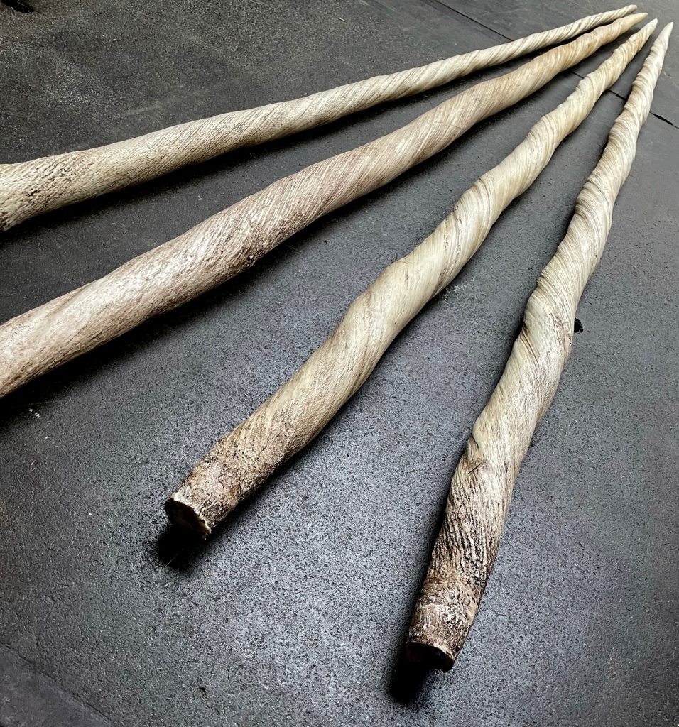 Narwhal tooth replicas - BEAST Interiors