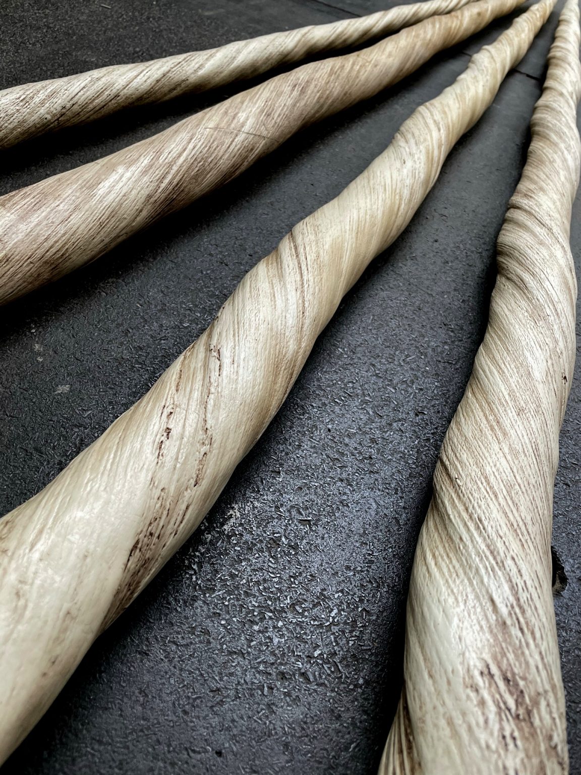 Narwhal tooth replicas - BEAST Interiors