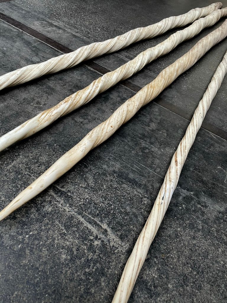 Narwhal tooth replicas - BEAST Interiors