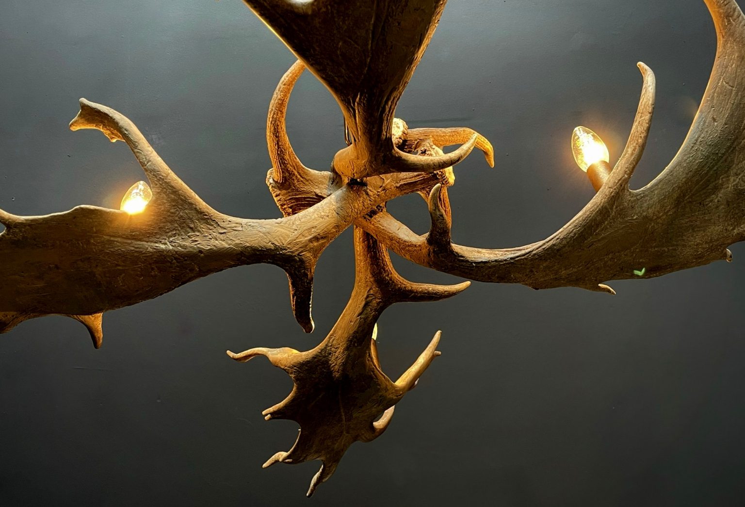Antler lamp fallow deer - BEAST Interiors