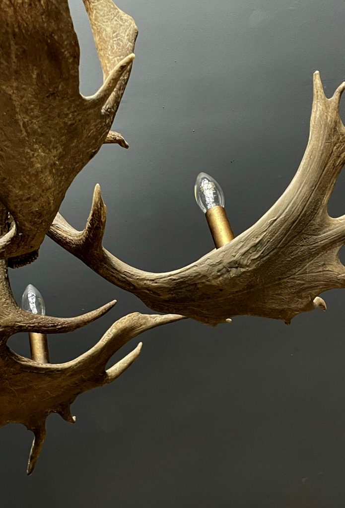 Antler lamp fallow deer - BEAST Interiors