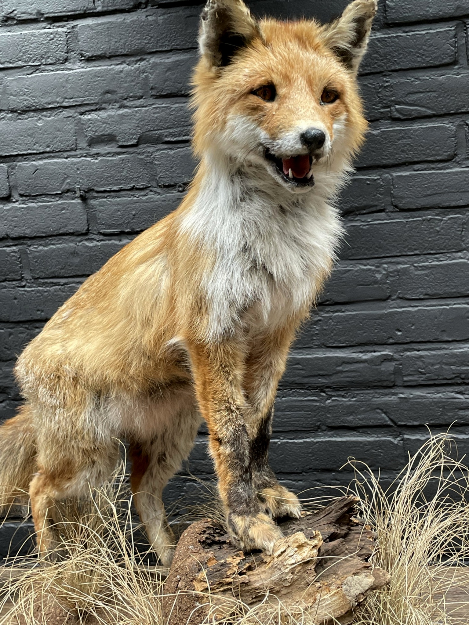 Stuffed fox for sale store