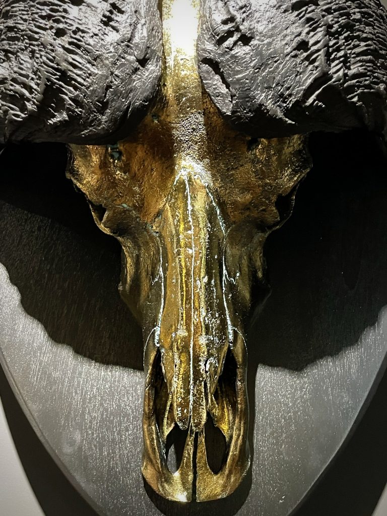 Schedel van een Kaapse Buffel - BEAST Interiors