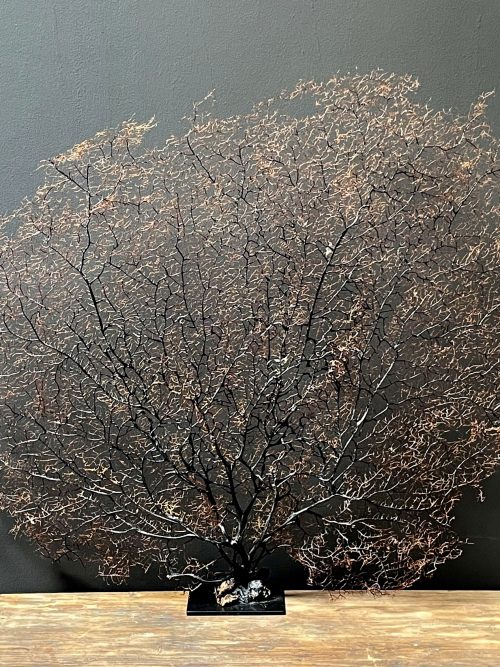 BEAST taxidermy Archives - Pagina 2 van 141 - BEAST Interiors