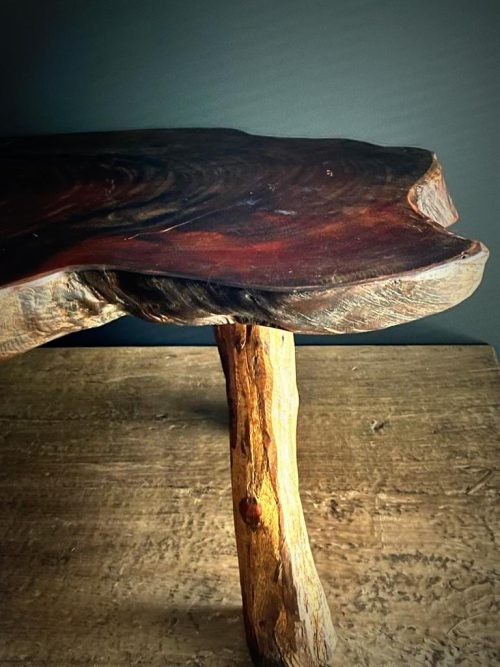 Vintage tree trunk coffee table. - BEAST Interiors