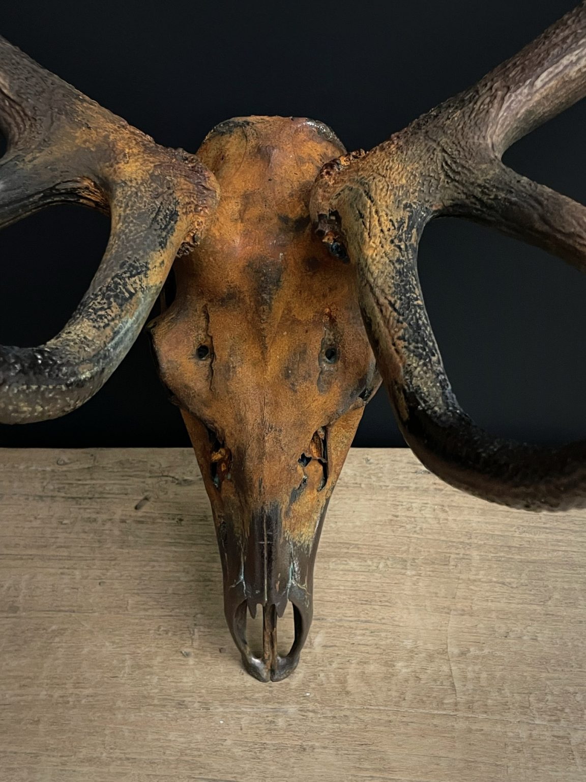 Gemetalliseerd gewei van een edelhert (voorbeeld) - BEAST Interiors