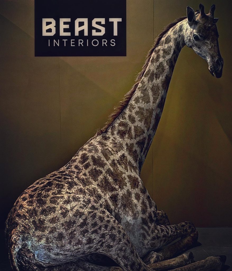 Opgezette Giraffe - BEAST Interiors