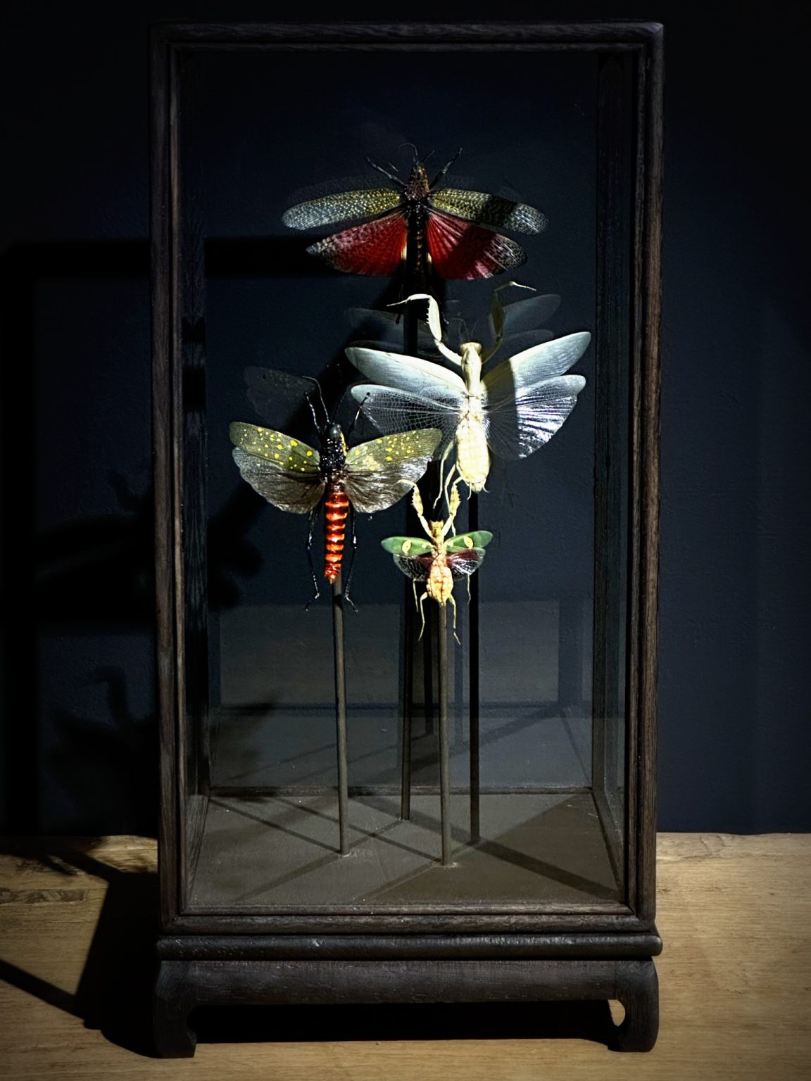Glass display case with grasshoppers - BEAST Interiors