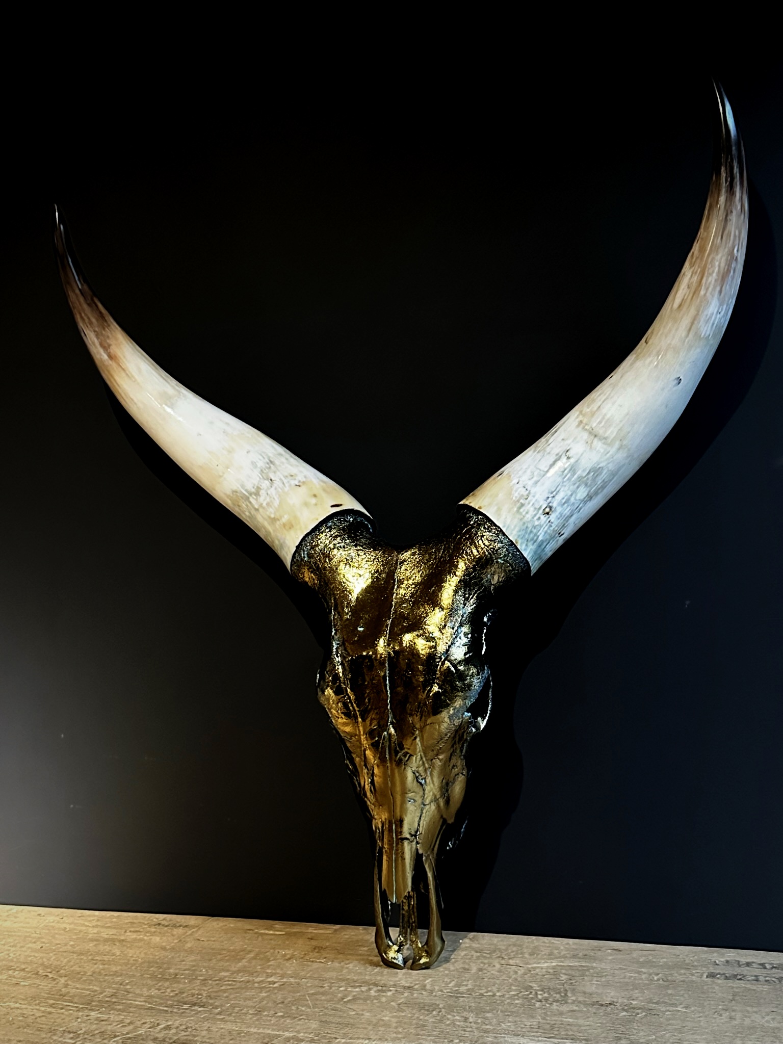 Ankole Watusi Skull
