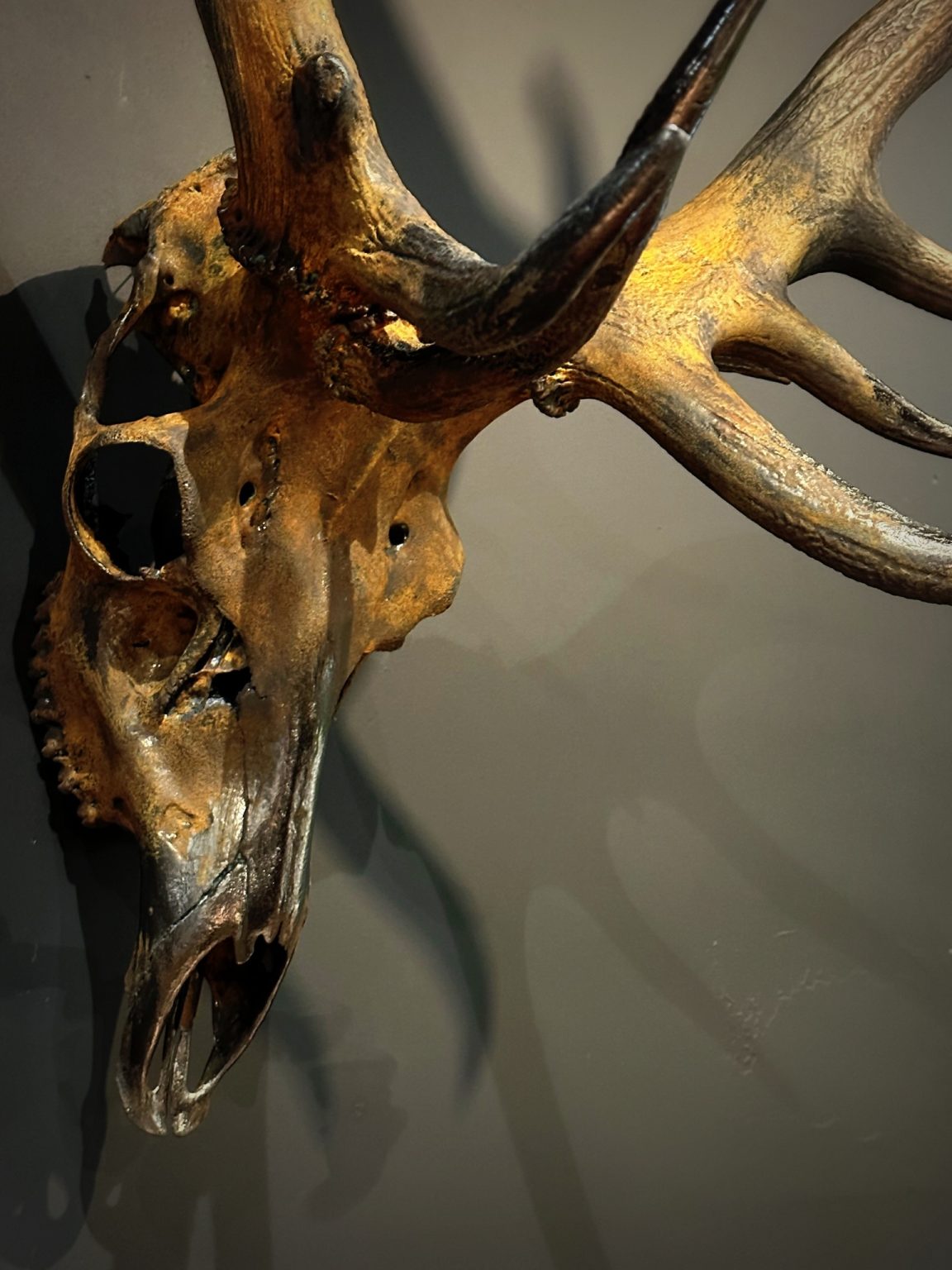 Metallized antlers of a red stag - BEAST Interiors