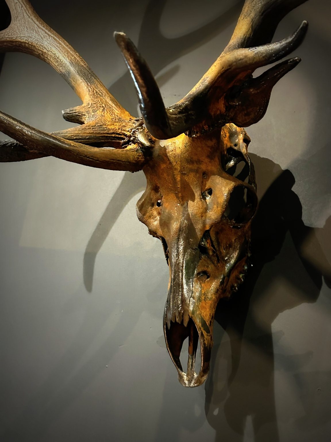 Metallized antlers of a red stag - BEAST Interiors