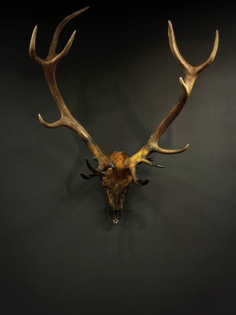 Metallized antlers of a red stag - BEAST Interiors