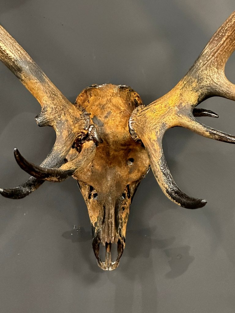 Metallized antlers of a red stag - BEAST Interiors
