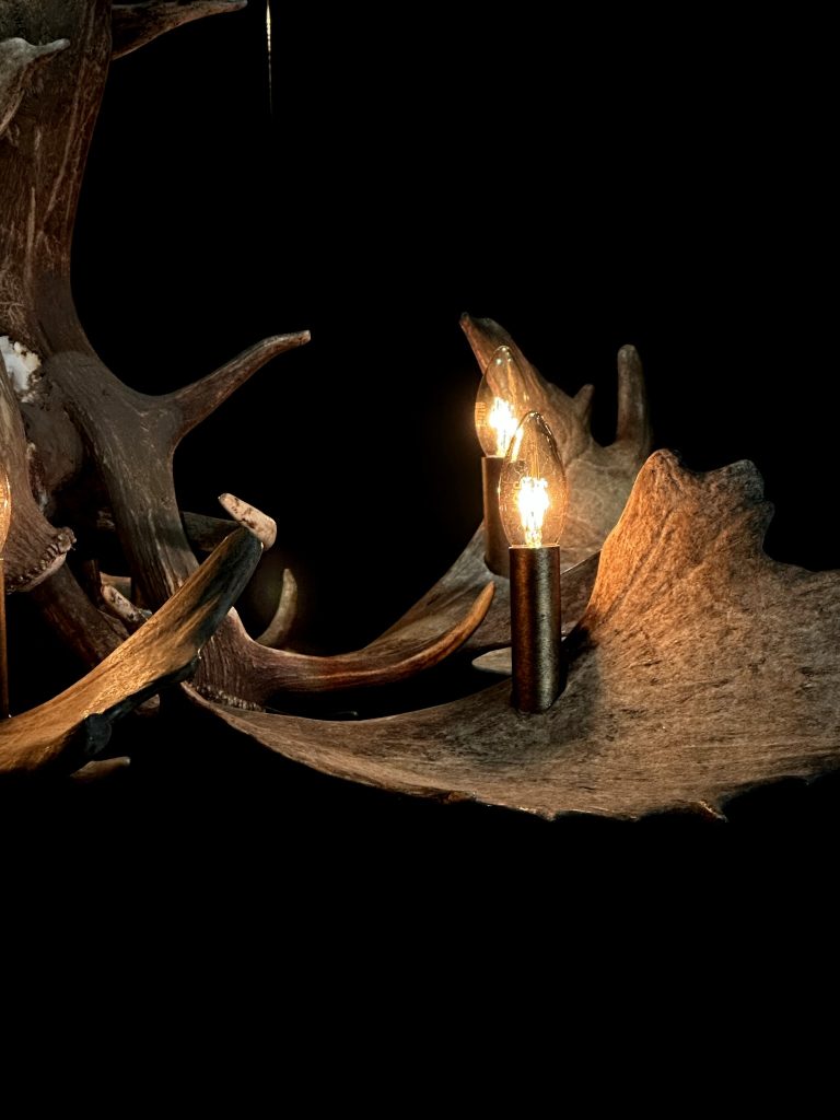 Antler chandelier made of fallow deer antlers - BEAST Interiors