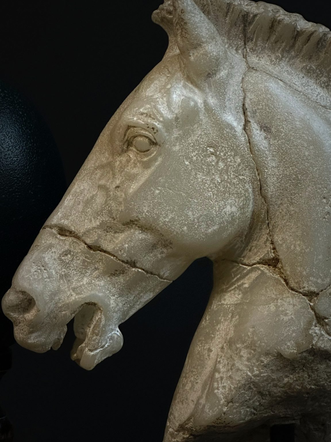 Replica marble horse head. - BEAST Interiors