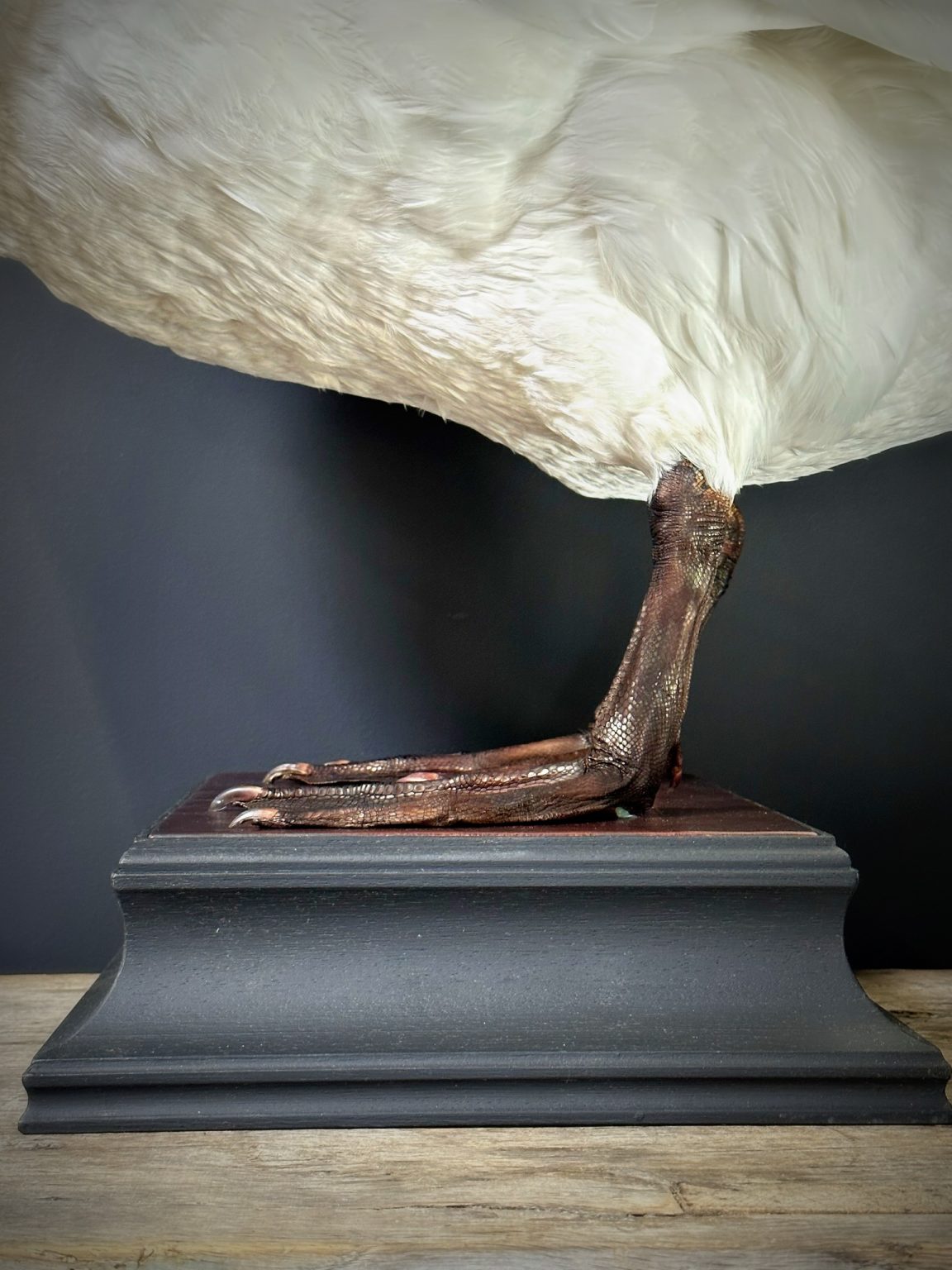 Stuffed swan - BEAST Interiors