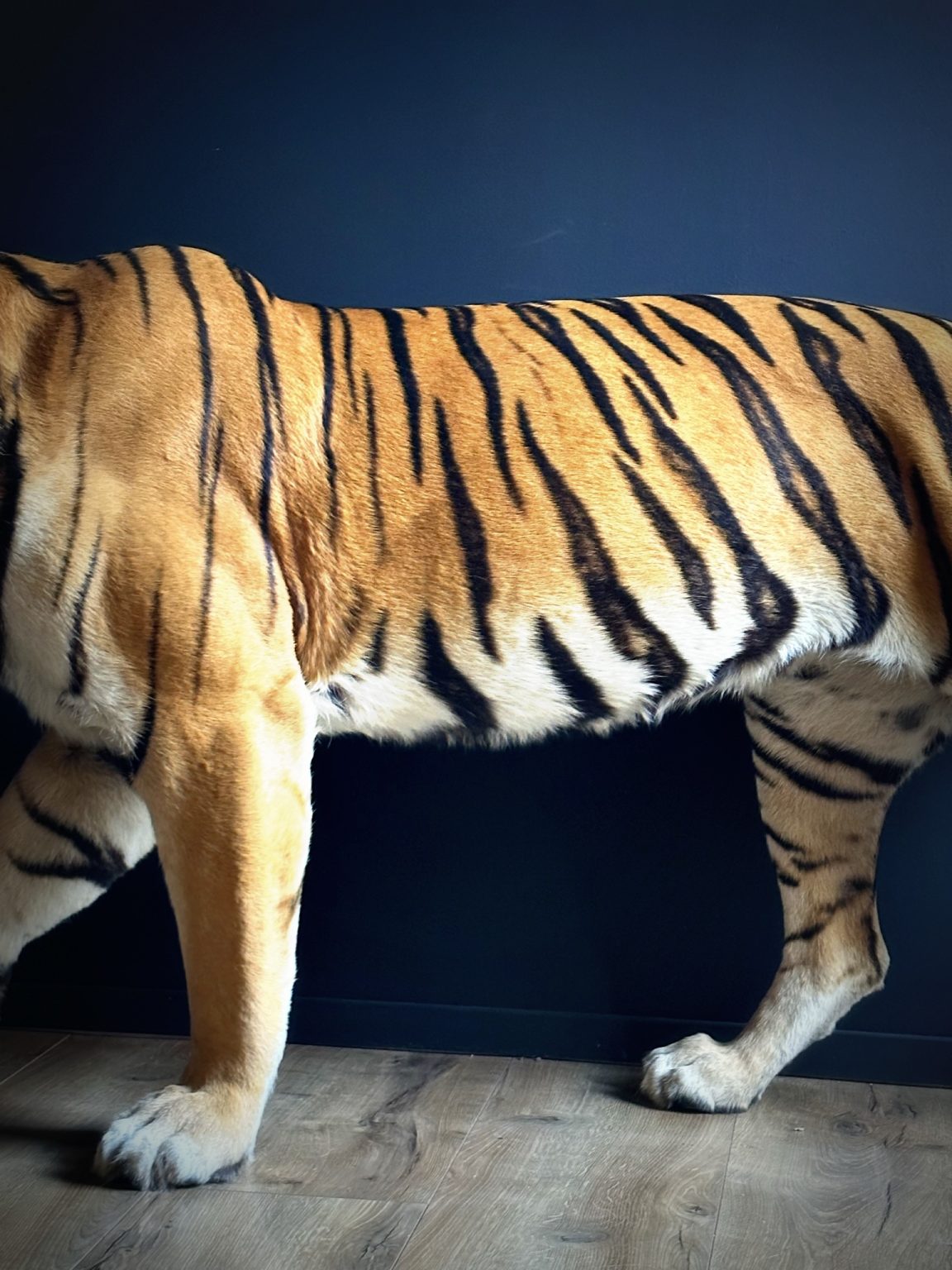 Mounted Tiger - BEAST Interiors