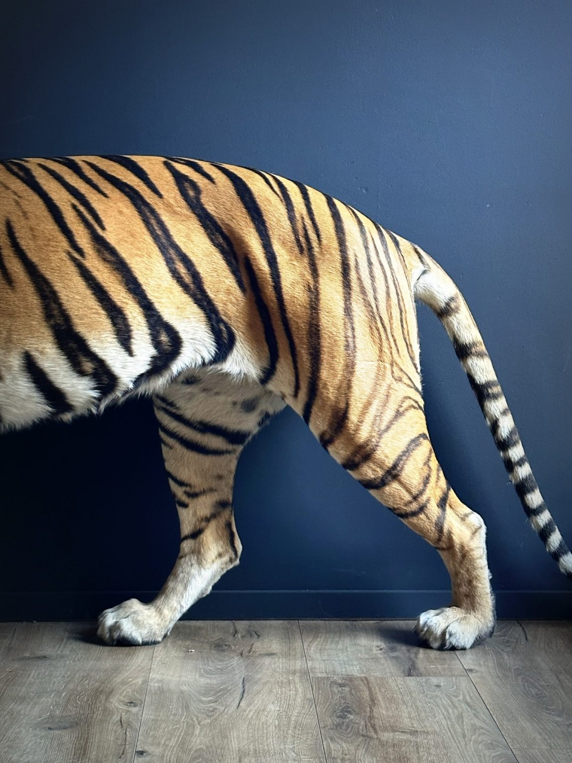 Mounted Tiger - BEAST Interiors