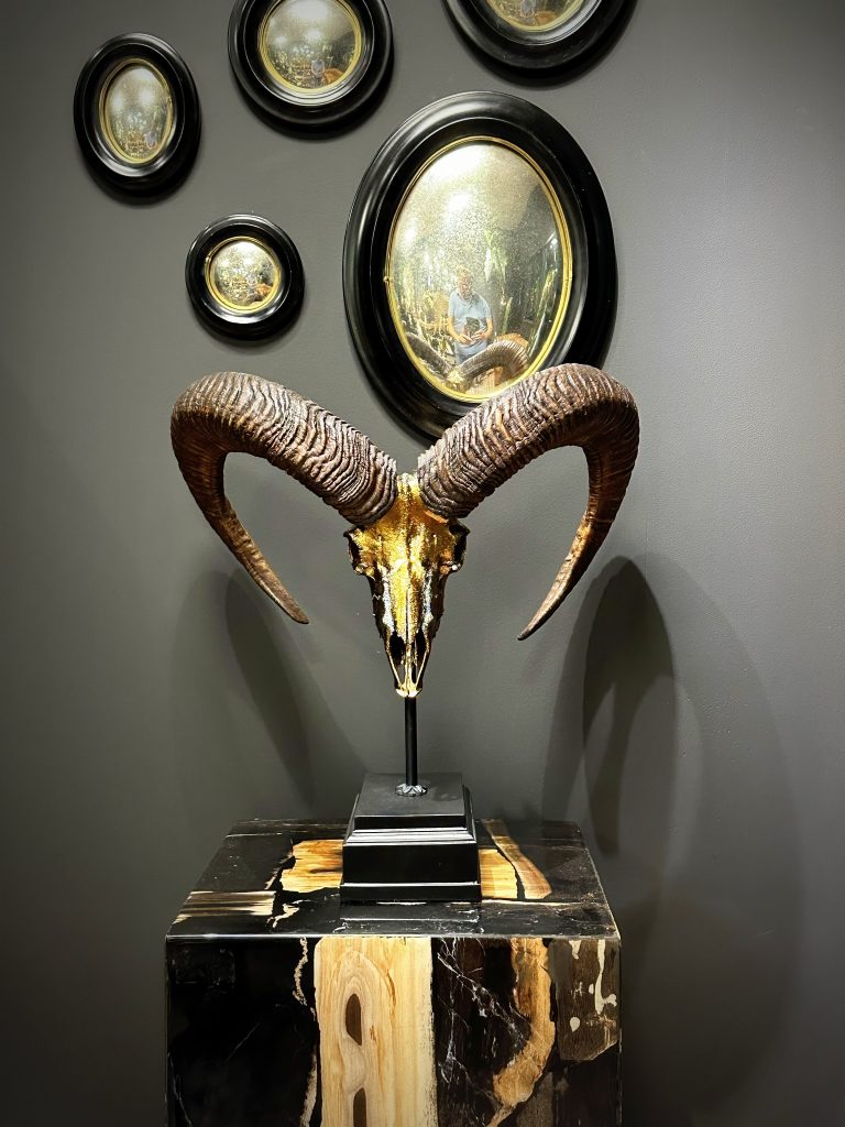 Mouflon skull XXL pedestal - BEAST Interiors