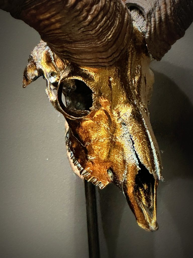Mouflon skull XXL pedestal - BEAST Interiors