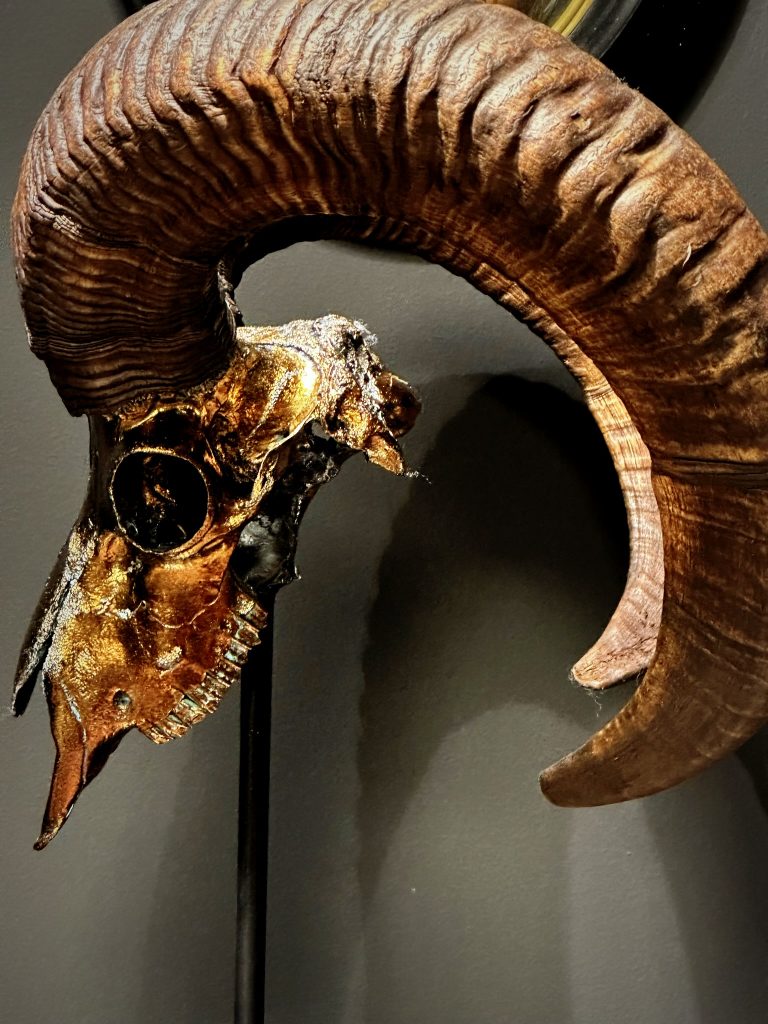 Mouflon skull XXL pedestal - BEAST Interiors