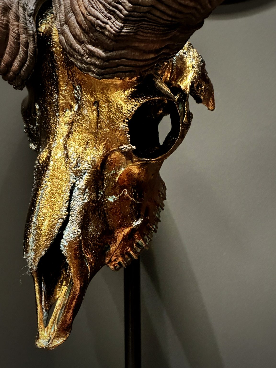 Mouflon skull XXL pedestal - BEAST Interiors