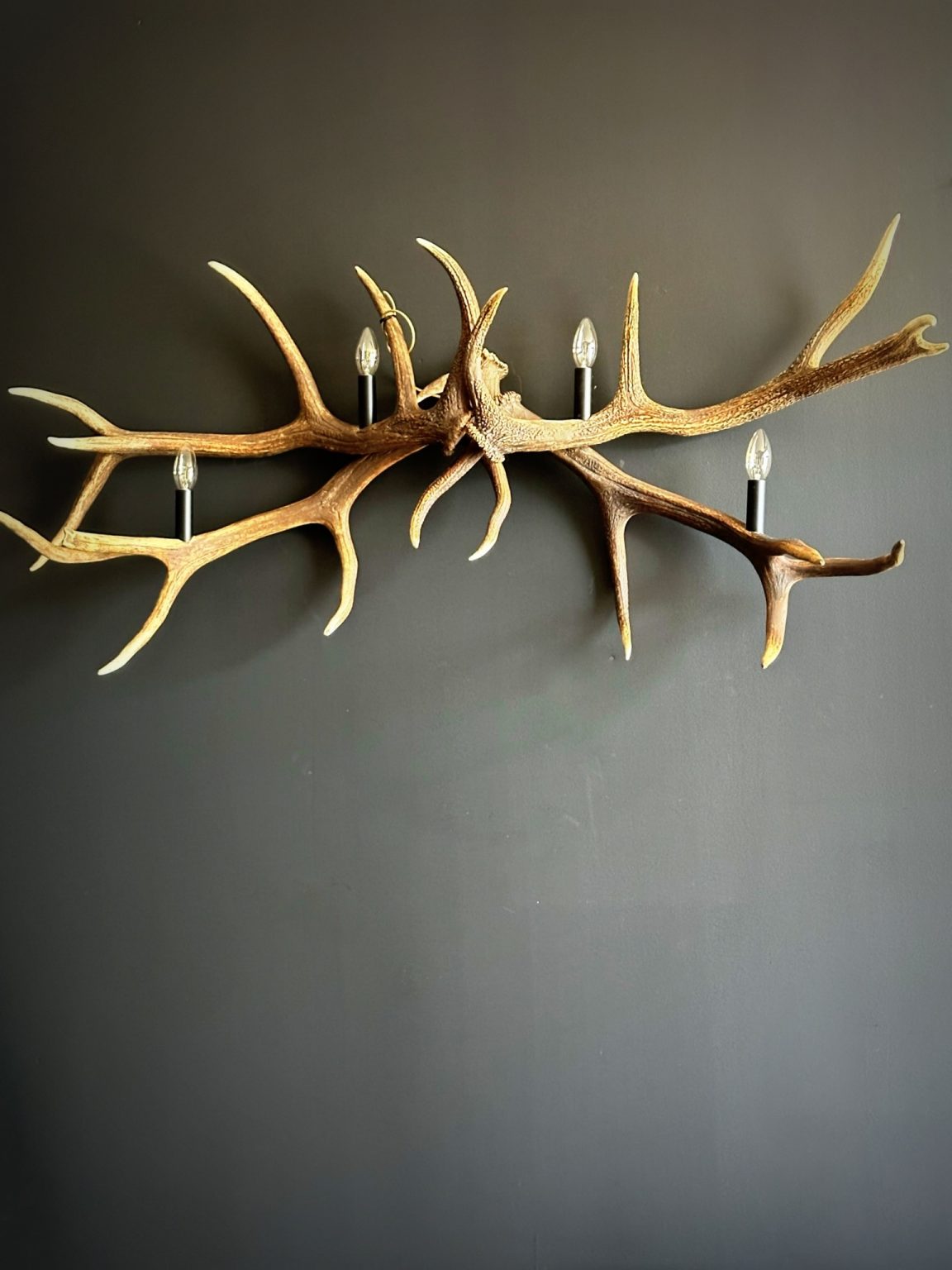 Wall lamp made of deer antlers - BEAST Interiors