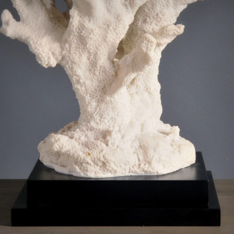 Giant Stylophora Tabletop Coral (replica) - BEAST Interiors
