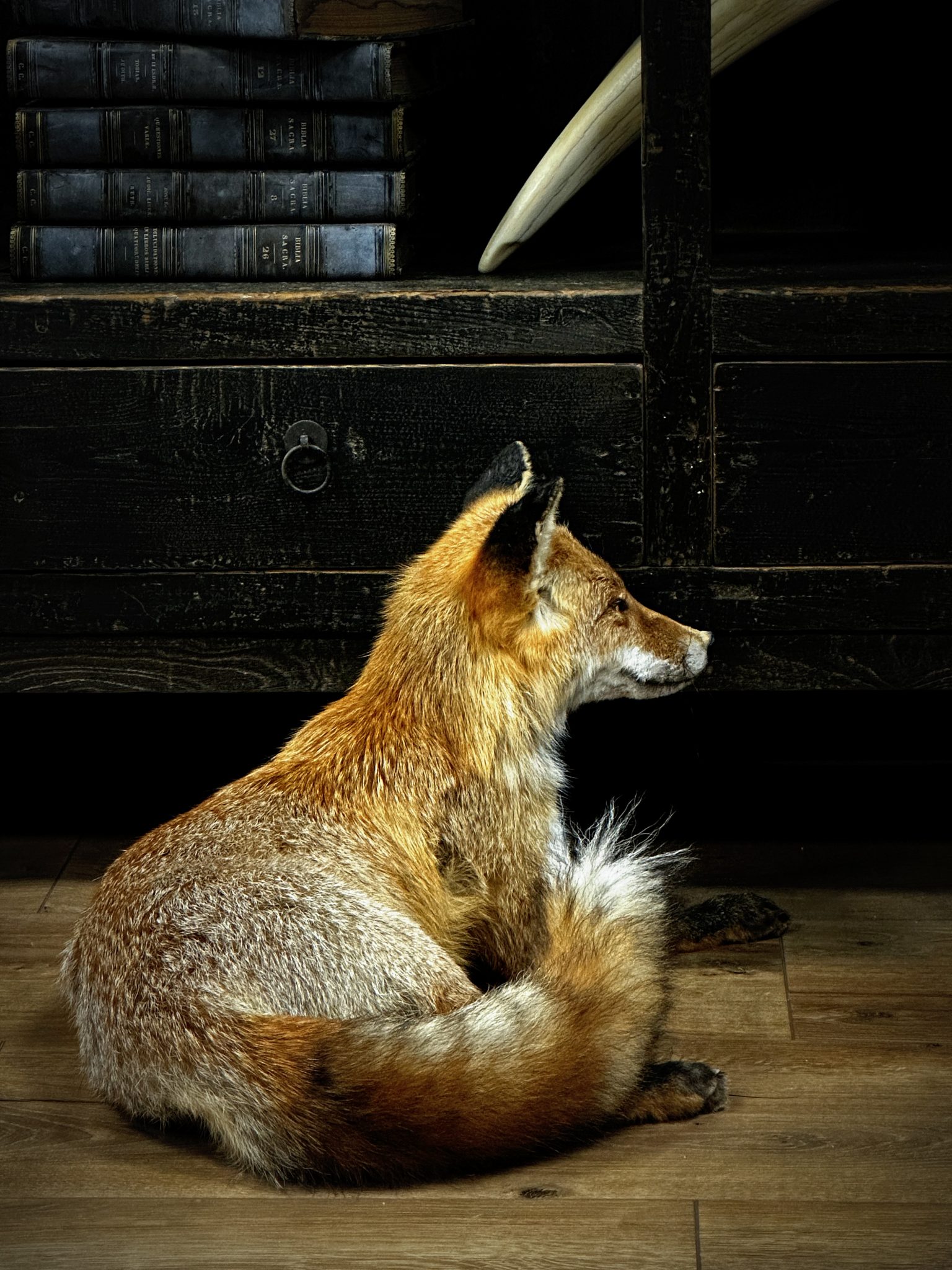 Mounted fox - BEAST Interiors