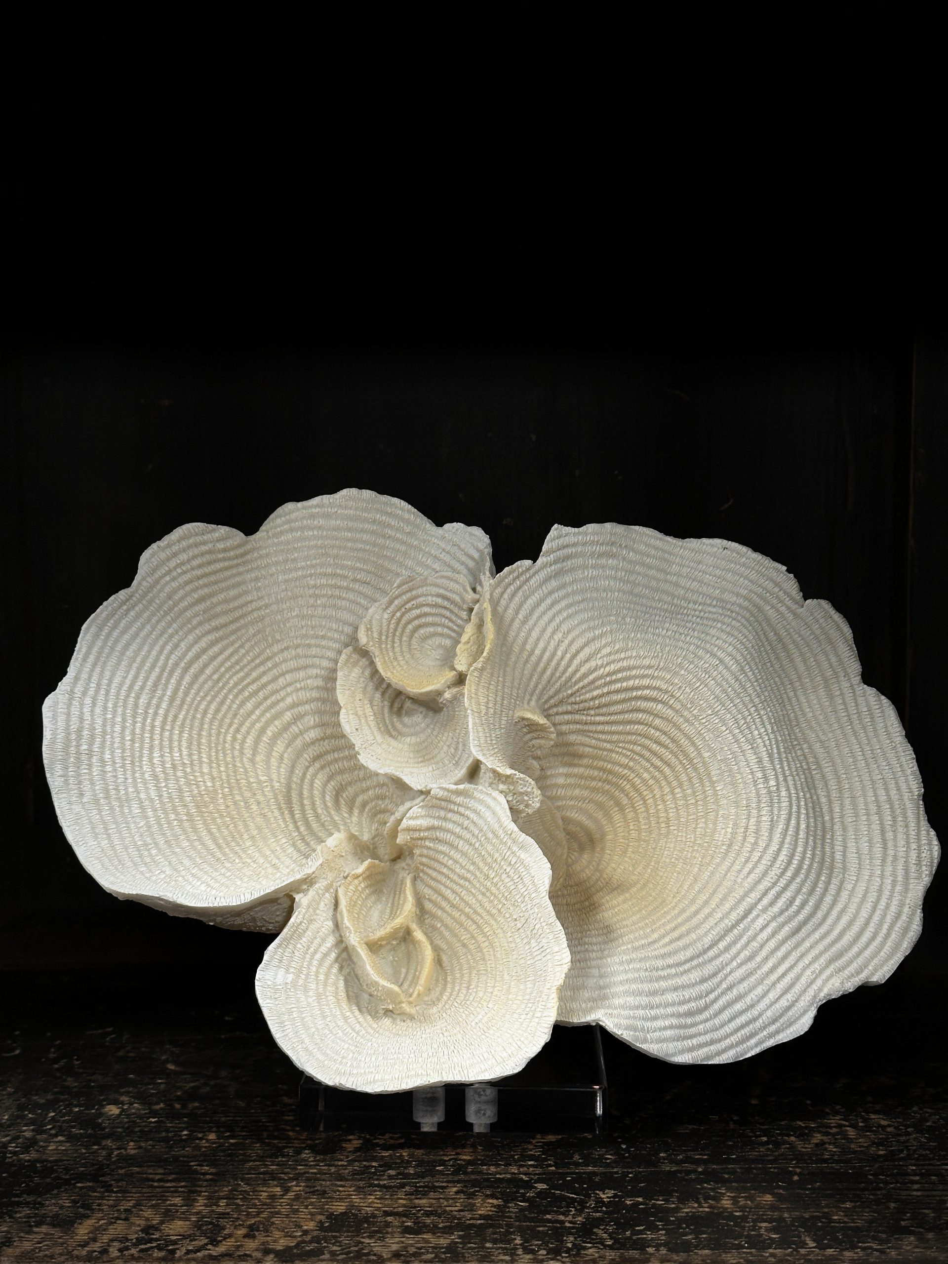 Replica bowl coral - BEAST Interiors