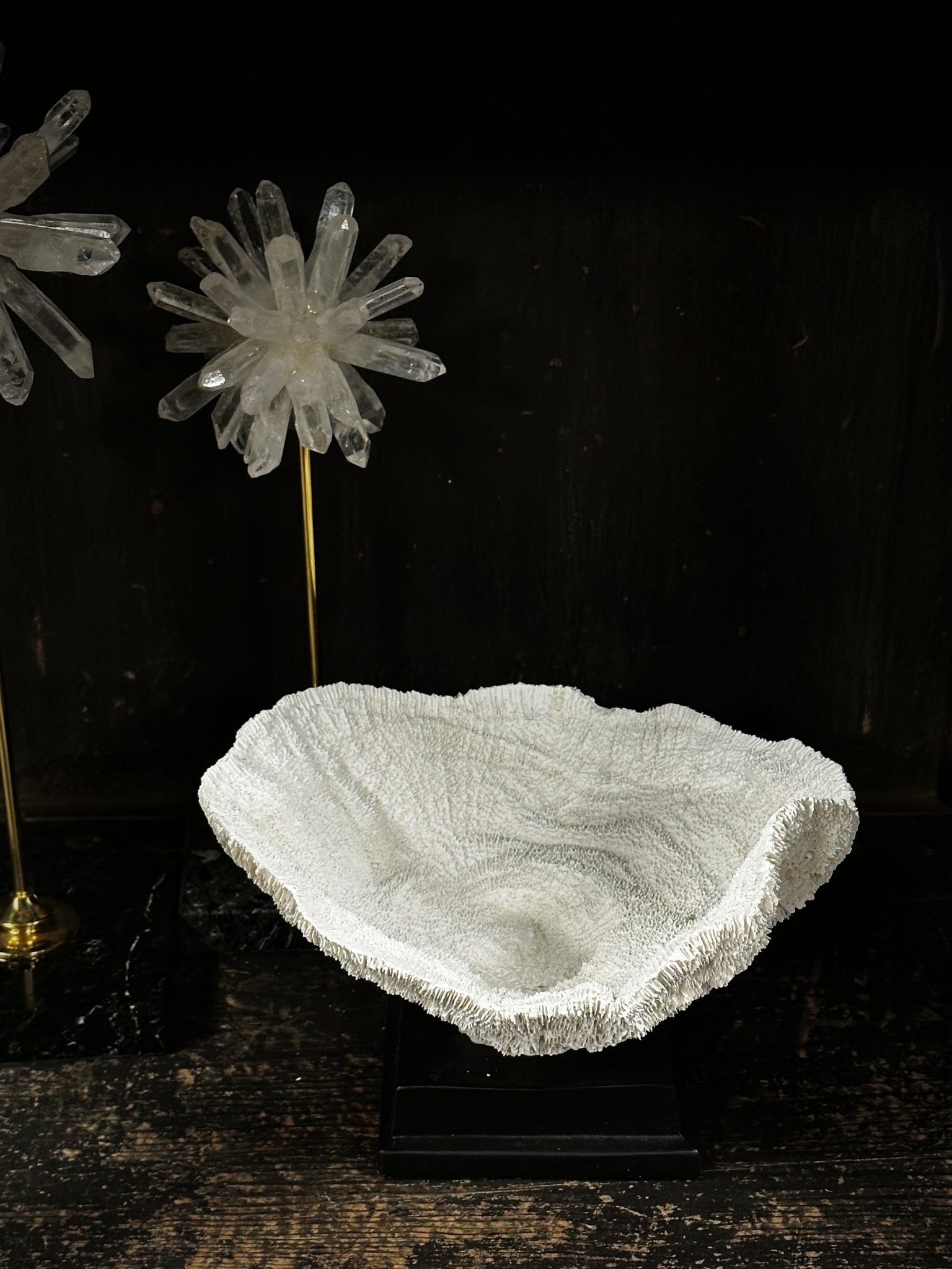Replica bowl coral - BEAST Interiors