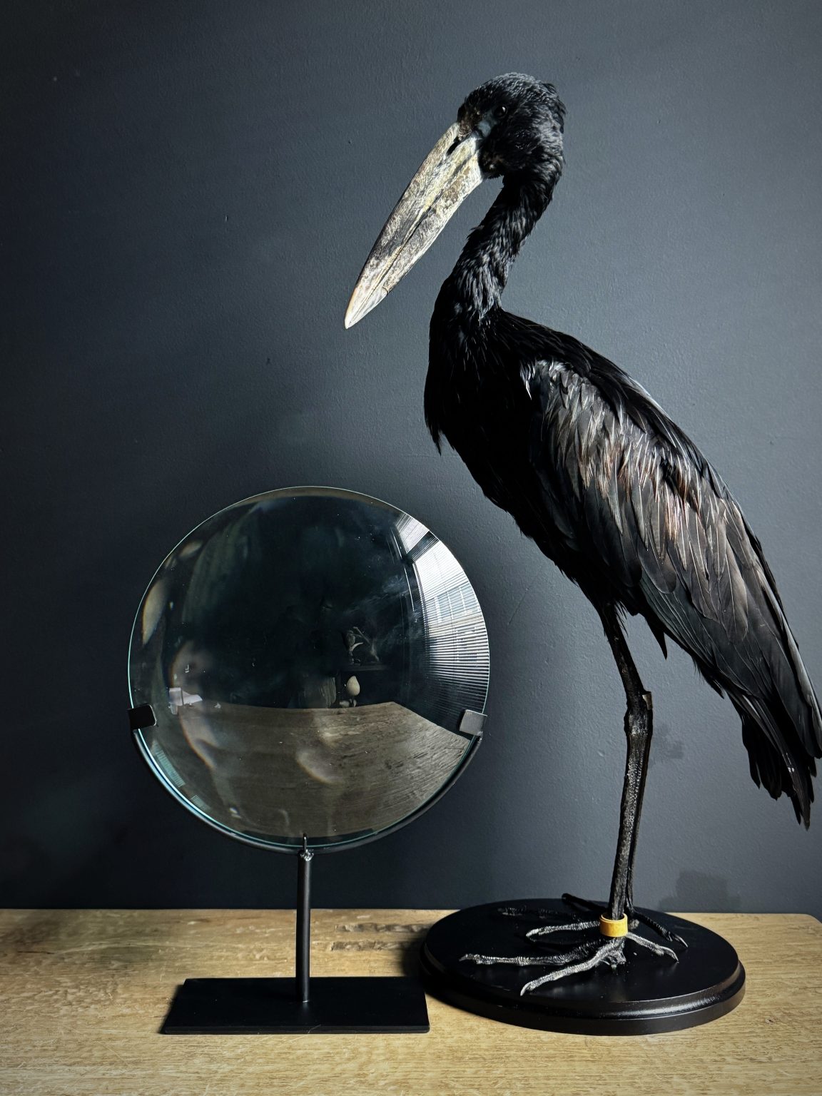Medium magnifying glass on stand - BEAST Interiors