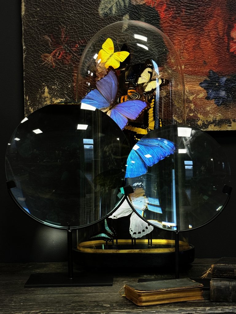 Medium magnifying glass on stand - BEAST Interiors