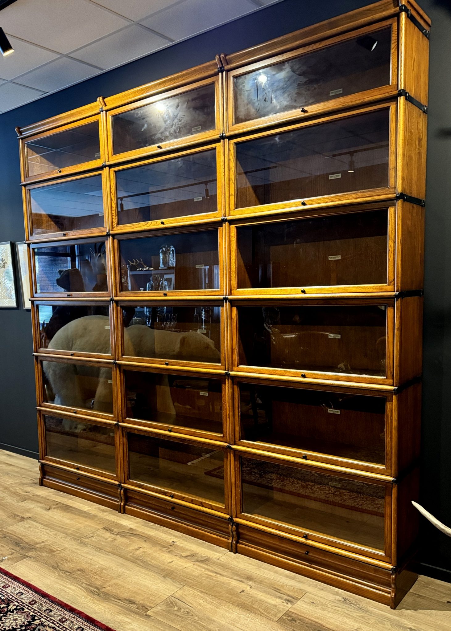 Globe Wernicke bookcases - BEAST Interiors
