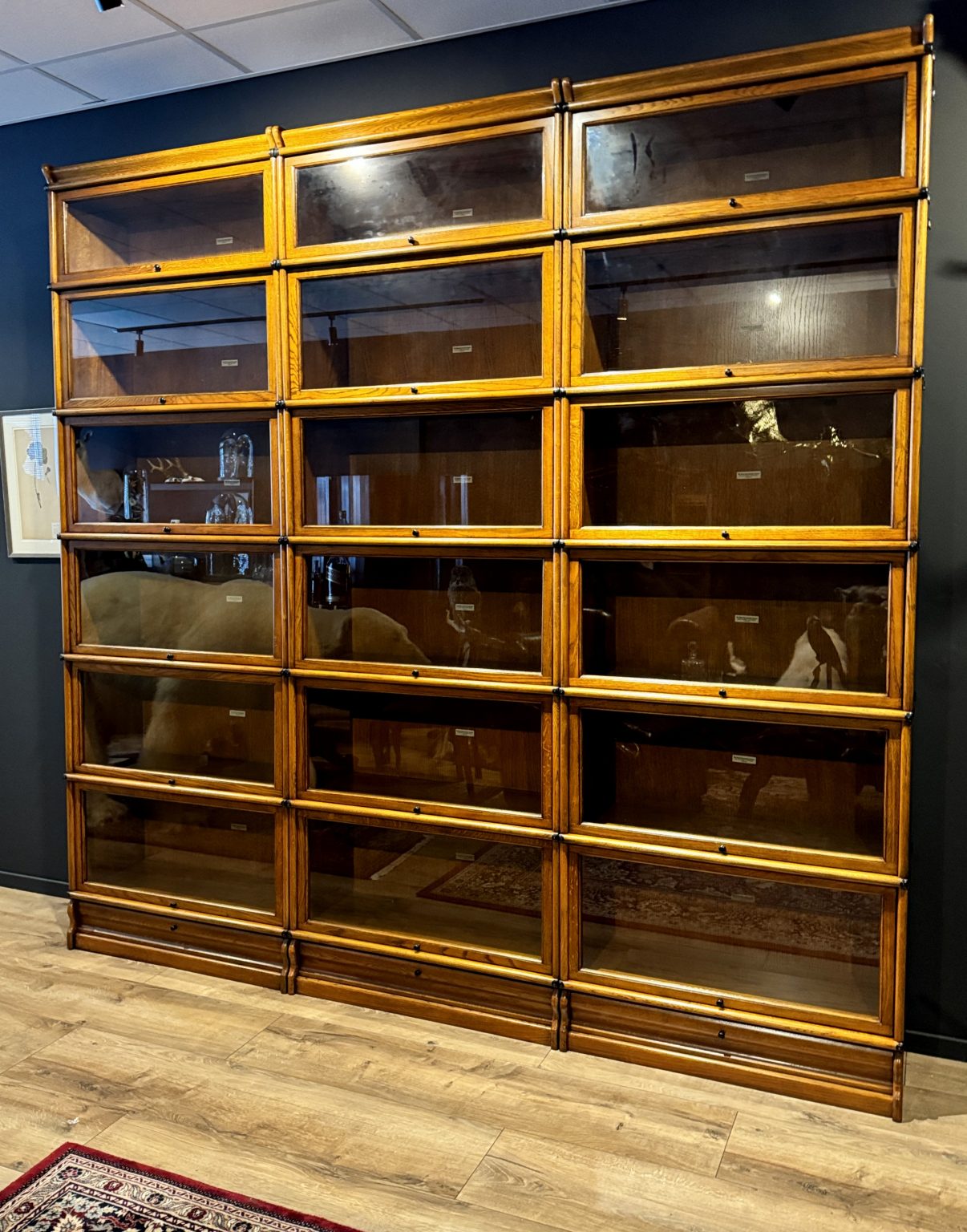 Globe Wernicke bookcases - BEAST Interiors