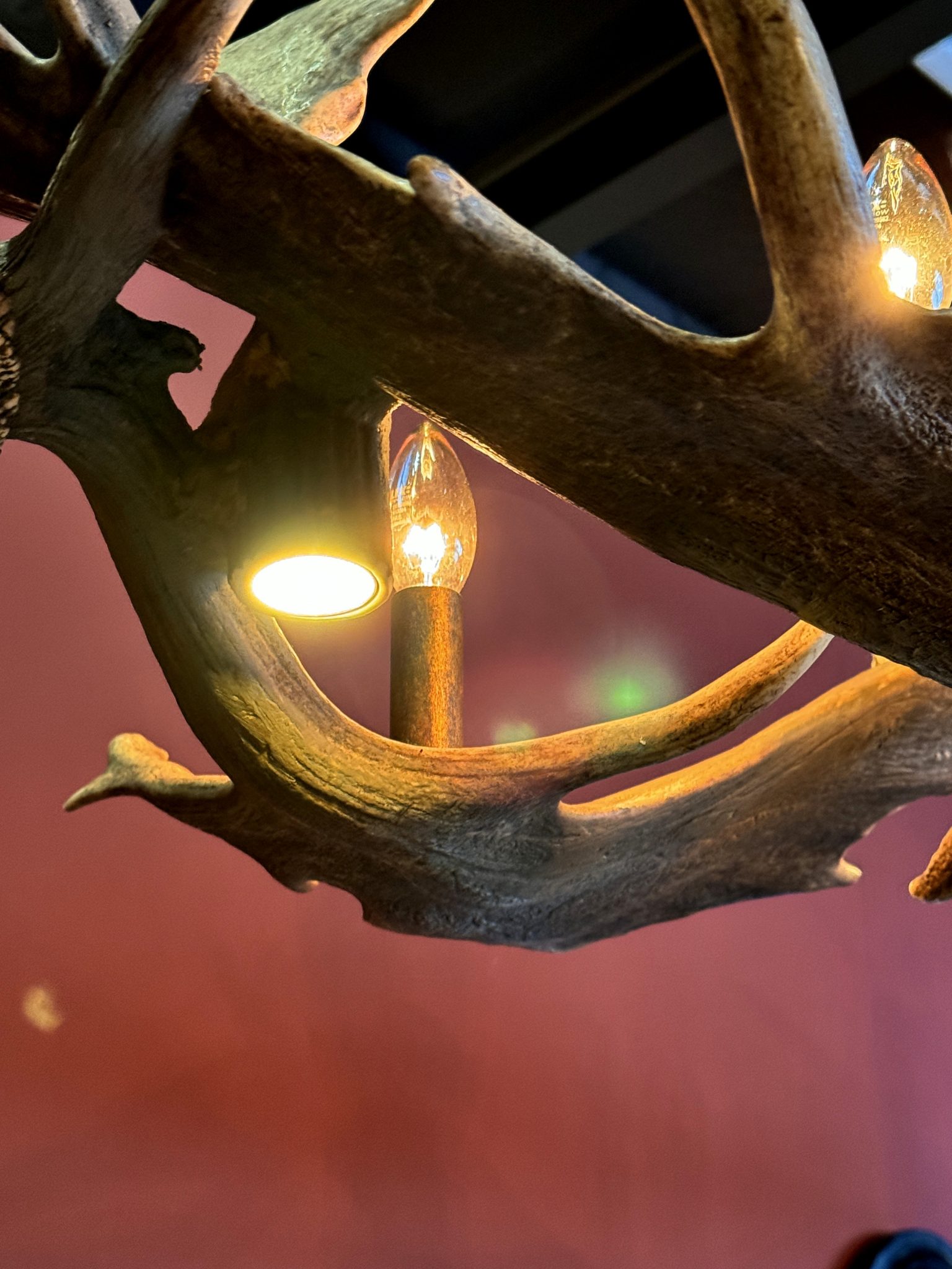 Antler lamp fallow deer - BEAST Interiors