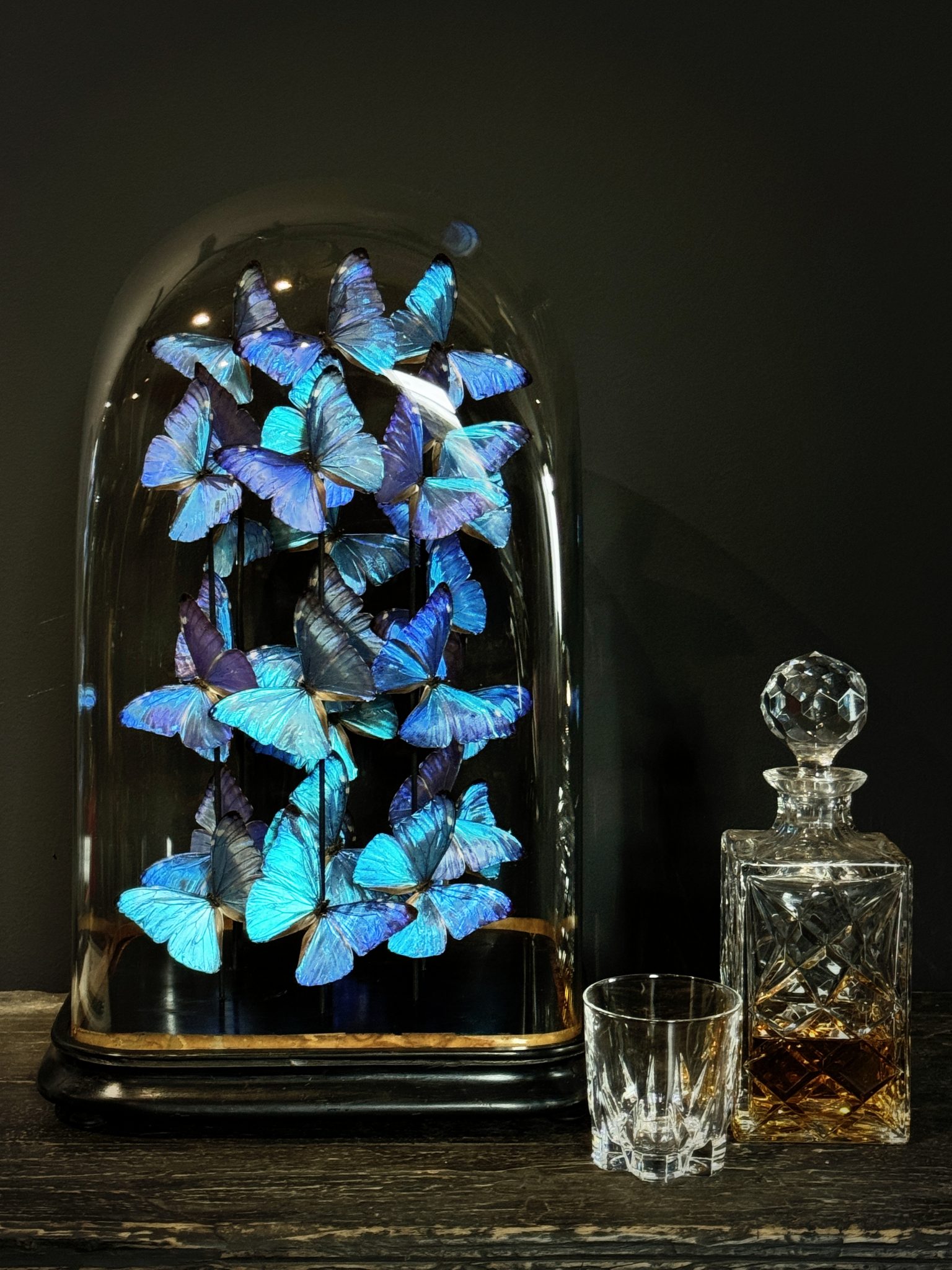 BEAST taxidermy Archives - BEAST Interiors