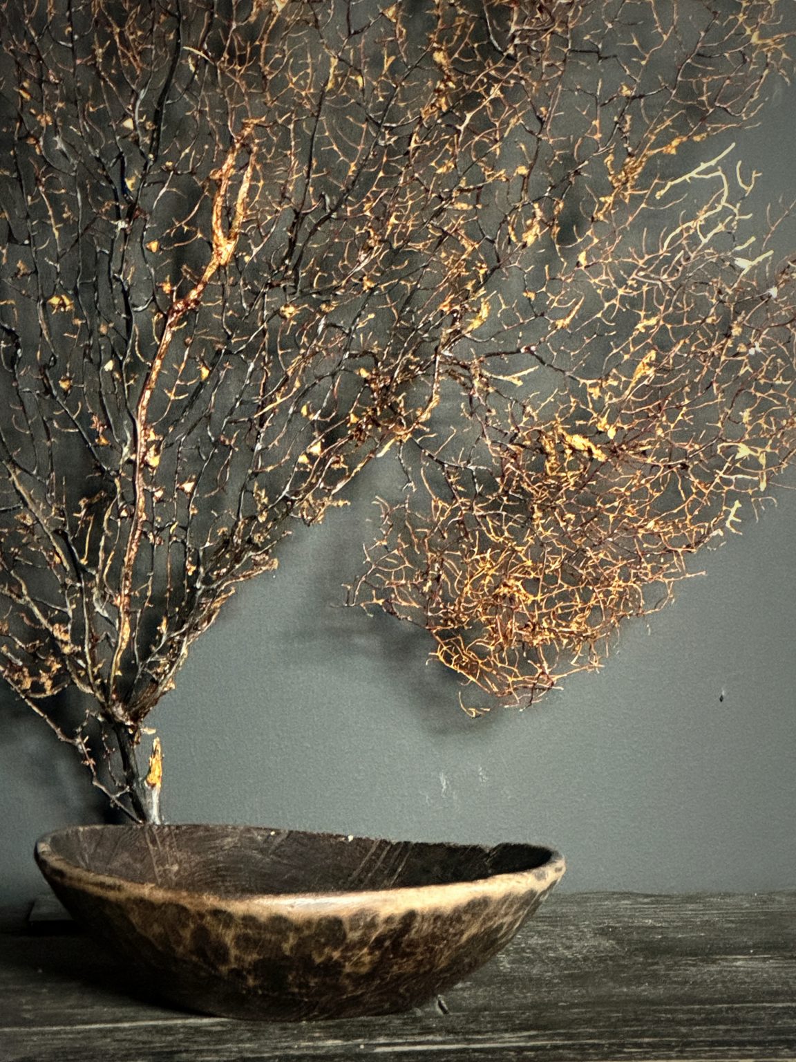 Grote zeewaaier - BEAST Interiors