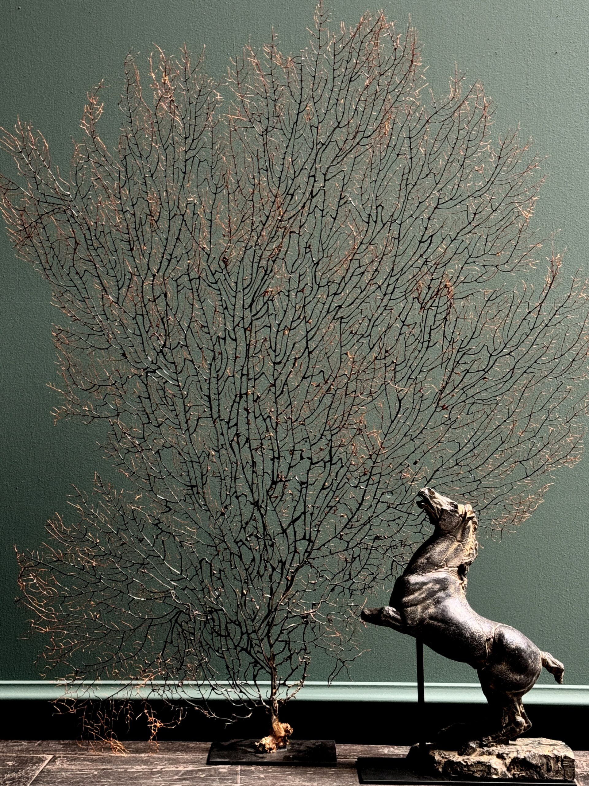 Sierlijke zeewaaier L - BEAST Interiors