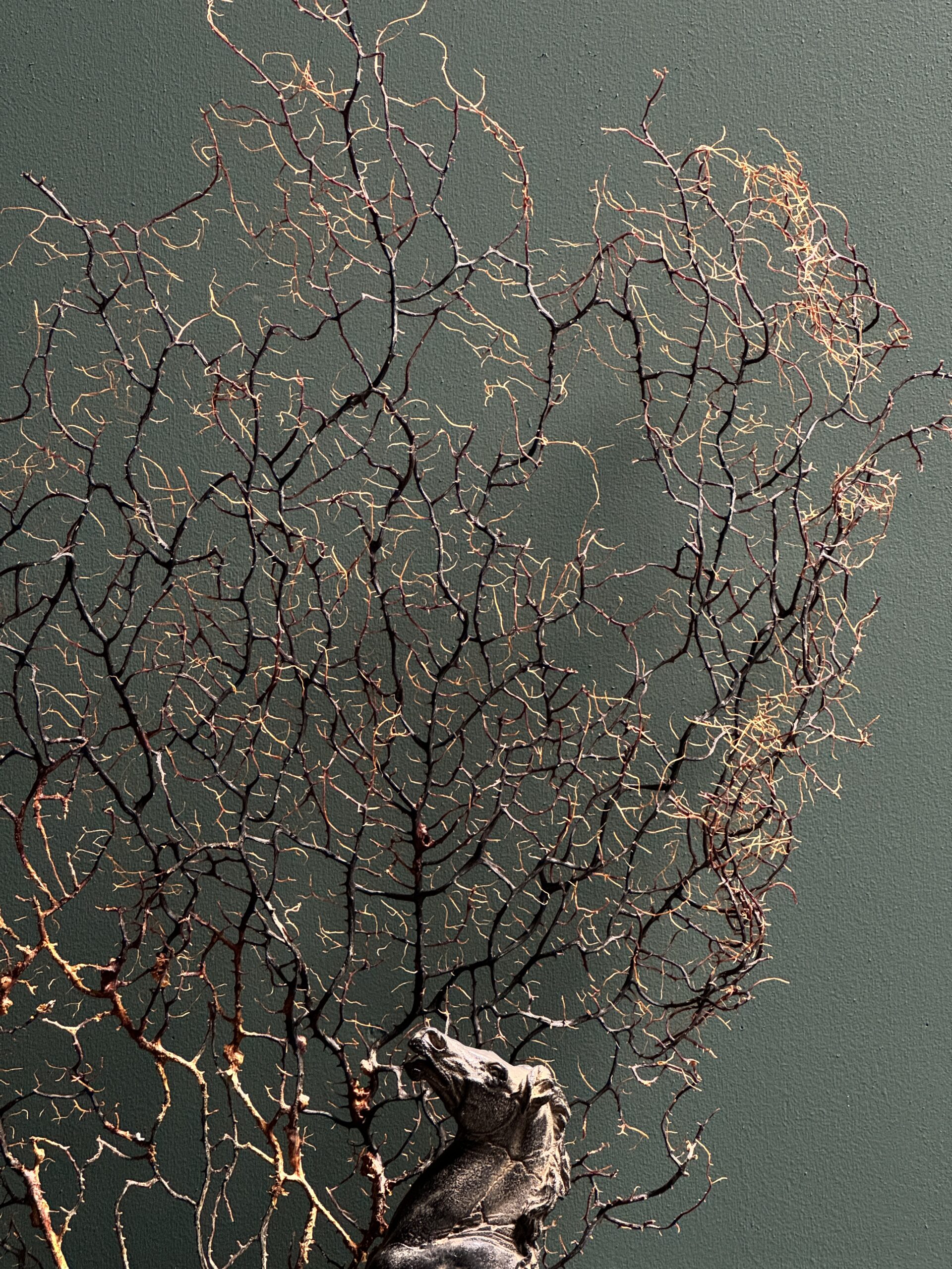 Sierlijke zeewaaier L - BEAST Interiors