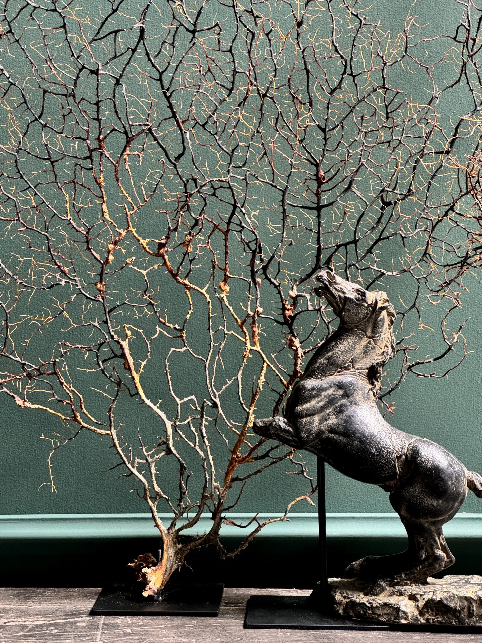 Sierlijke zeewaaier L - BEAST Interiors