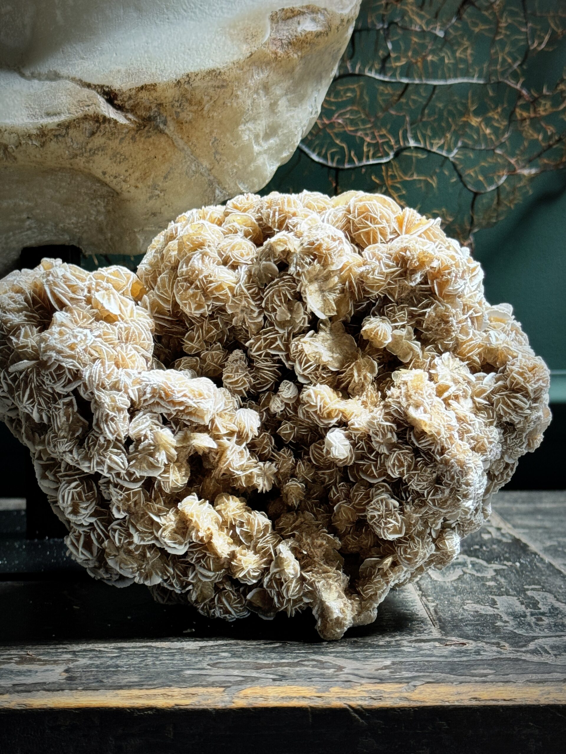 Augustus Emperor - Roman Louvre. Marble replica. - BEAST Interiors