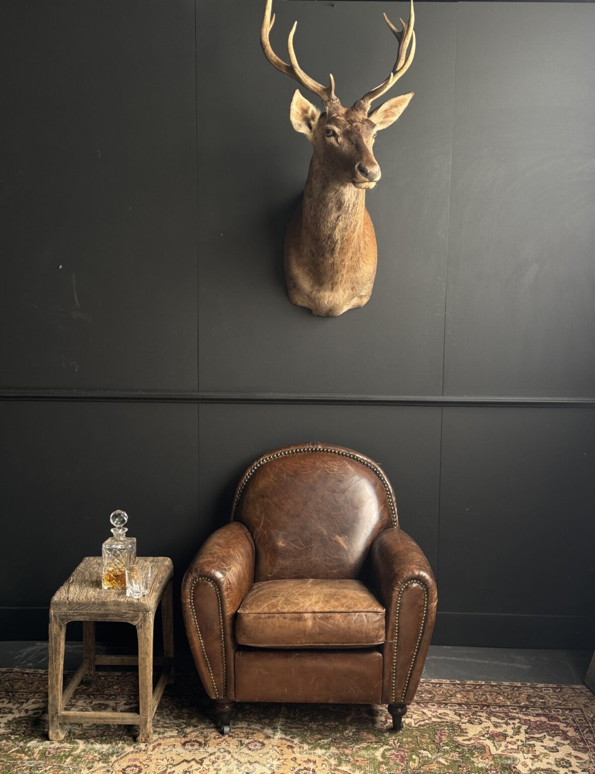 Mounted head of a red stag - BEAST Interiors