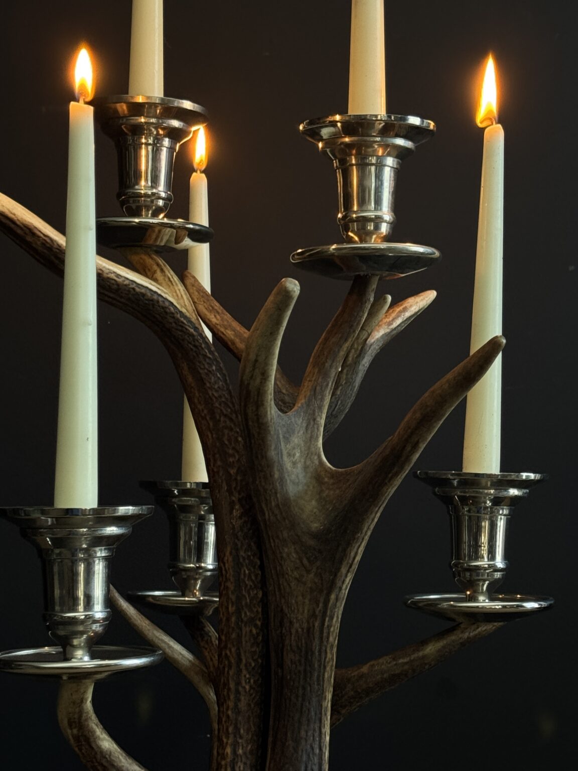 Gewei kandelaar - BEAST Interiors