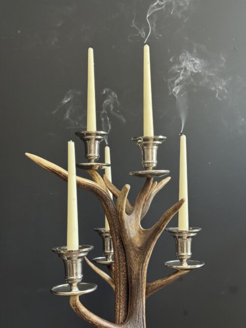 Gewei kandelaar - BEAST Interiors